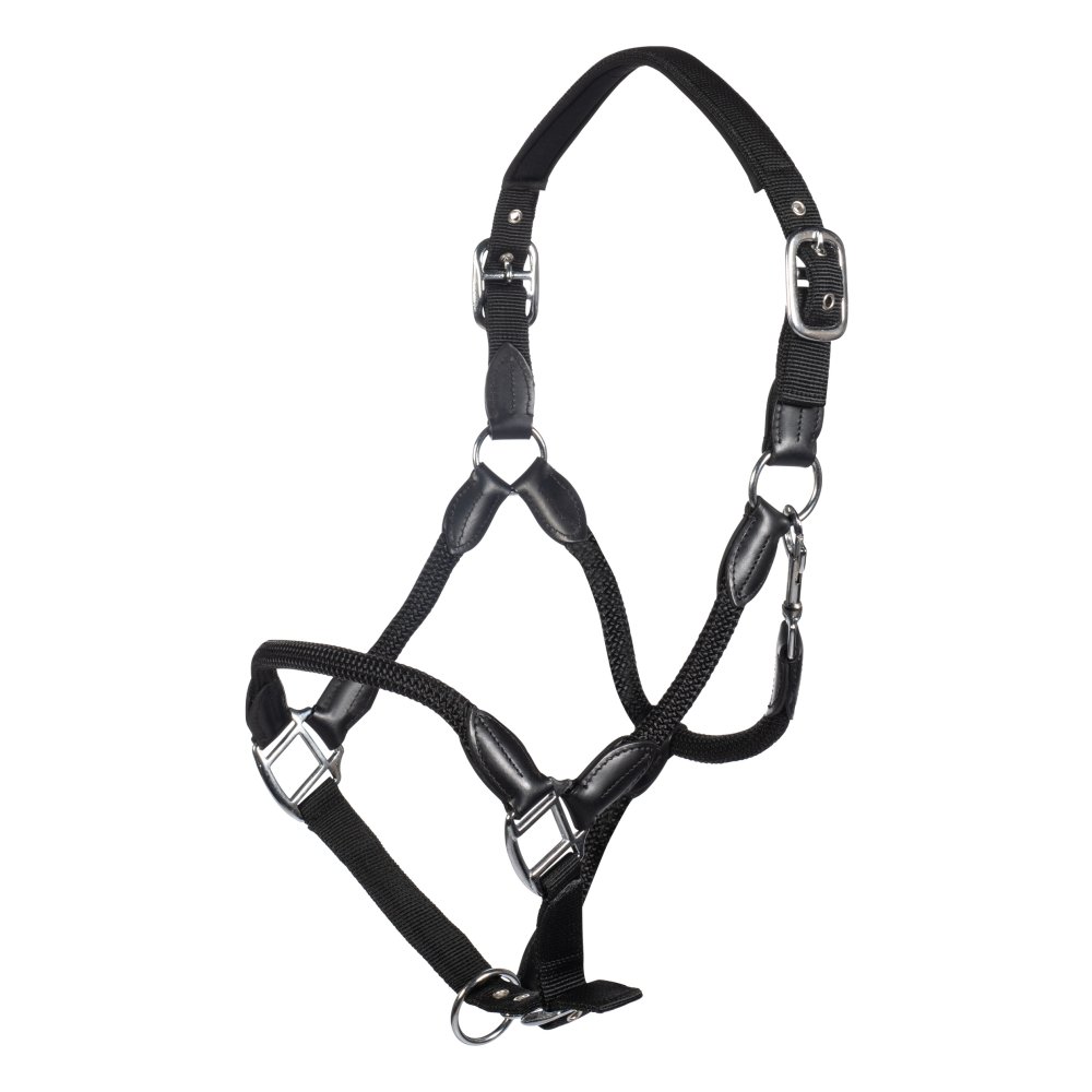 Head collar -Carlotta-