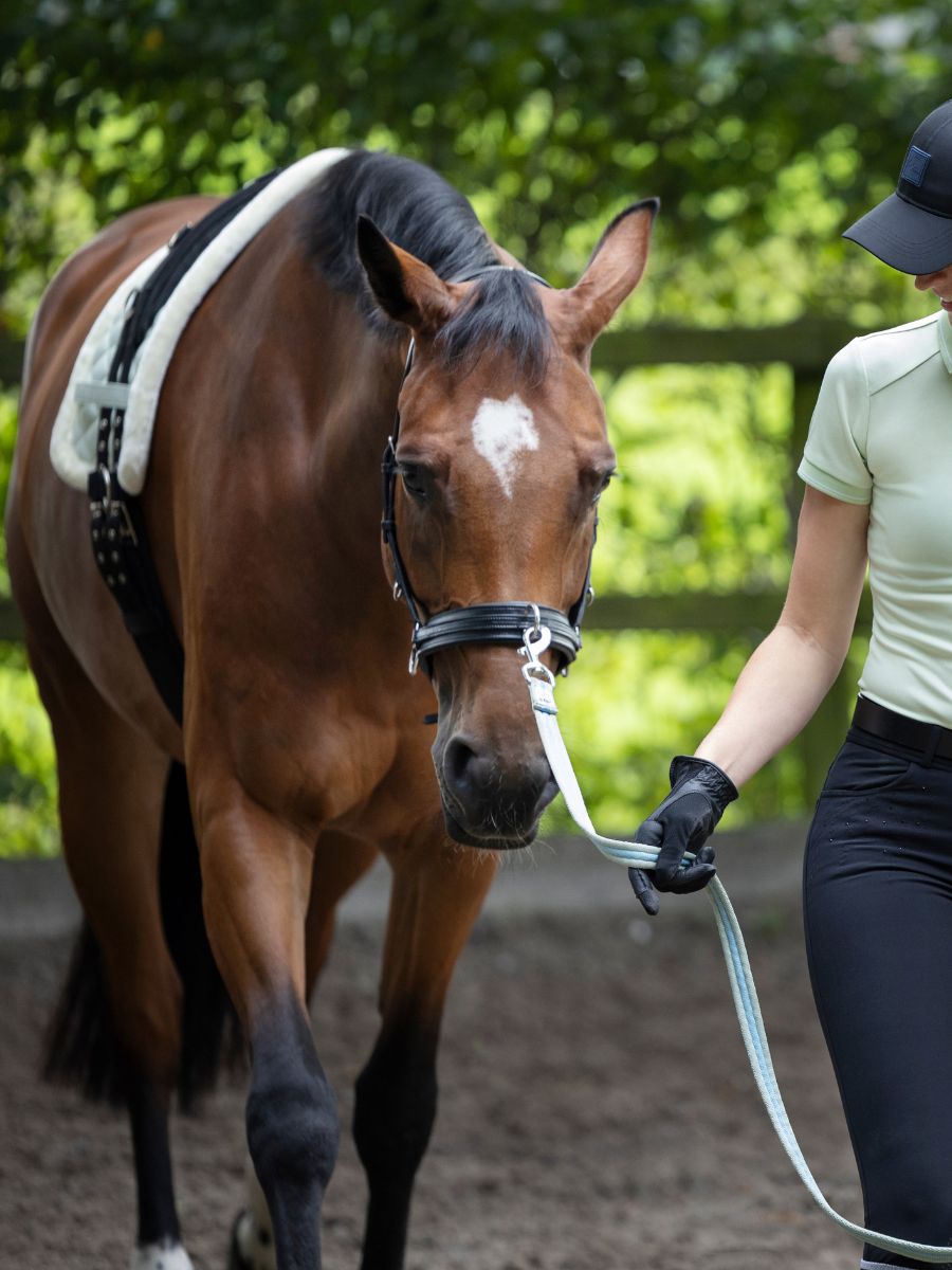 HKM Sports Equipment | Alles für Reiter und Pferd